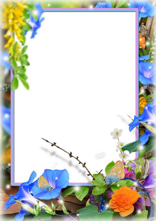 Vertical photo frame with colorful flowers and butterfly ( PSD layered ...