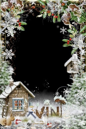 Winter frame psd template bullfinch in winter forest - Free download