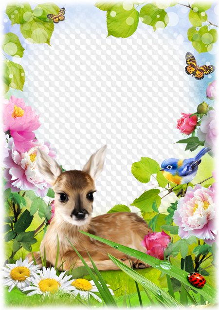 Photo Frame - Deer on nature. Transparent PNG Frame, PSD Layered Photo ...
