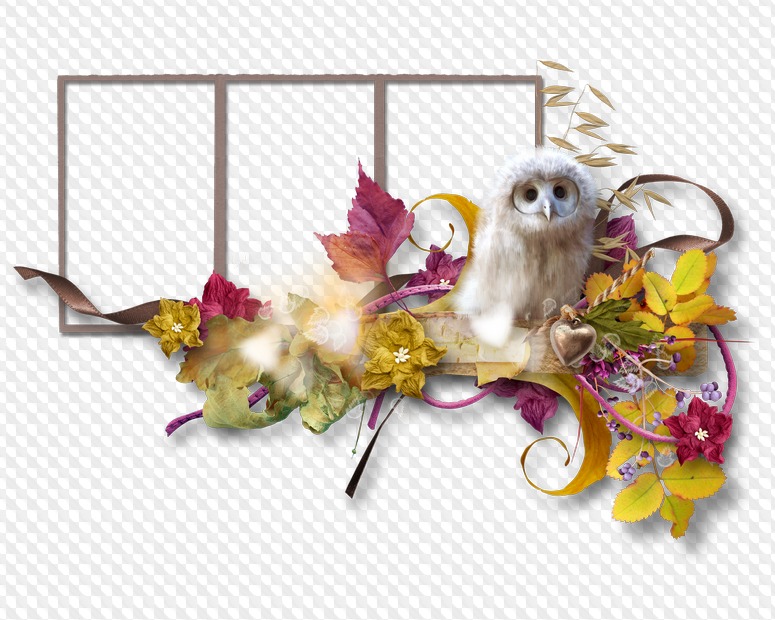 PNG Frames and Clusters with autumn leaves