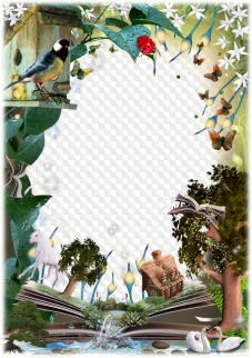 Forest animals and birds in the forest, photo frame