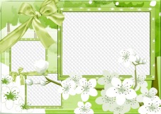 PSD, transparent PNG, photo frame Green spring