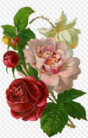 42 PNG, Vintage Roses, images with transparent background