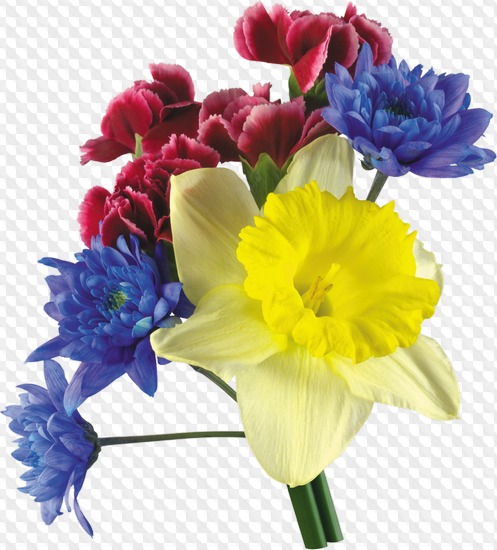 35 PNG, Spring flowers, images with transparent background