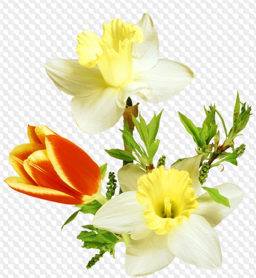 35 PNG, Spring flowers, images with transparent background
