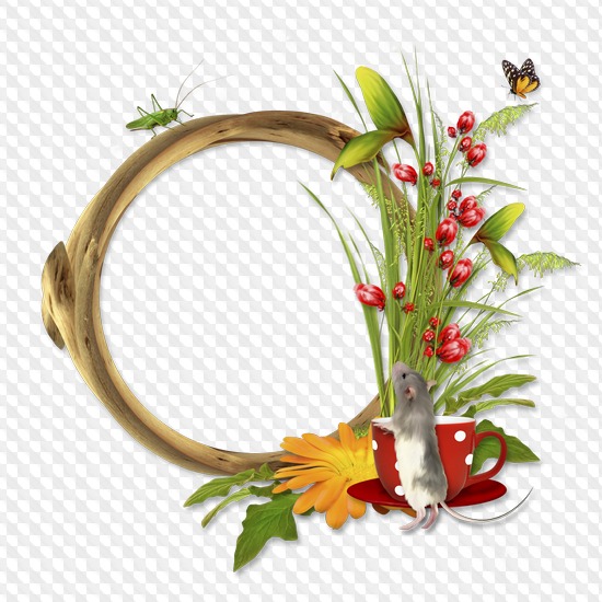 Flower frames png Flower clusters png