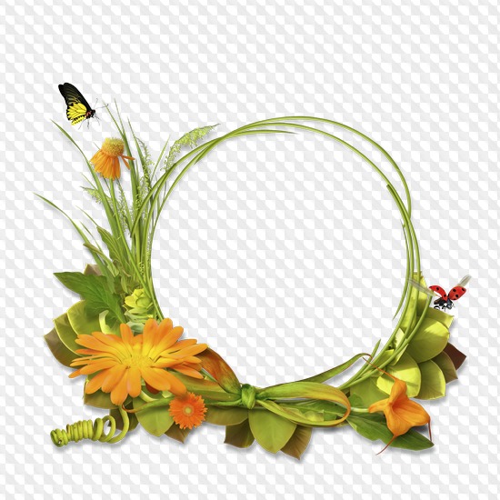 Flower frames png Flower clusters png