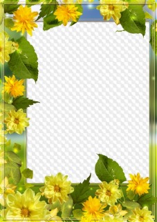 On the petals of flowers, flower photo frame