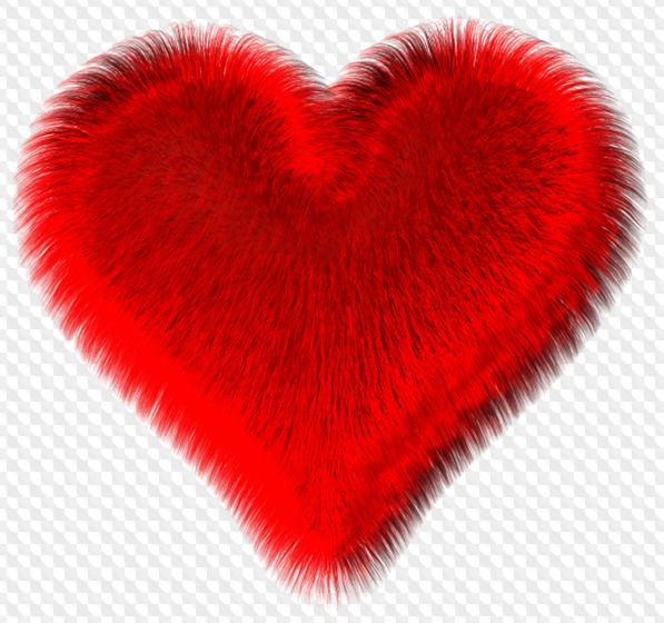 186 images, Hearts in PNG, Gold, white, blue and red Hearts transparent ...