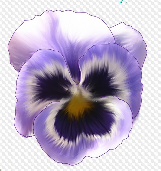 25 PNG, Violets, graphic, flowers with transparent background