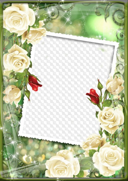Wedding photo frame White Roses