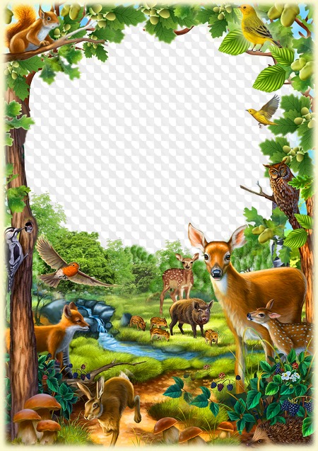 Photo frame Animals on a forest glade