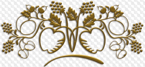 96 PNG, Decorative elements for design with transparent background
