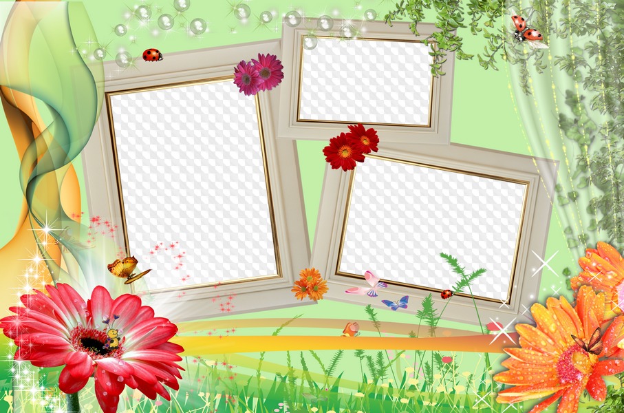 Green set of 4 frames for photos