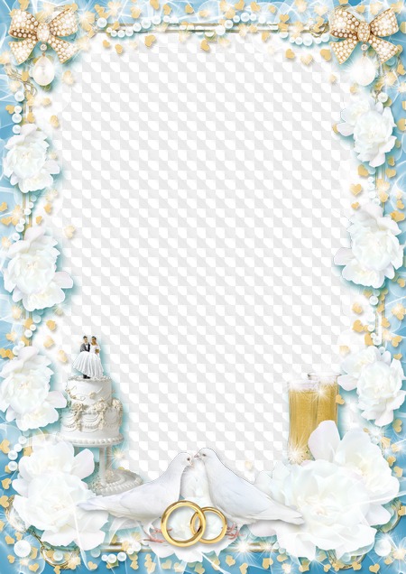 Wedding frames for Photoshop - Wedding doves and swans