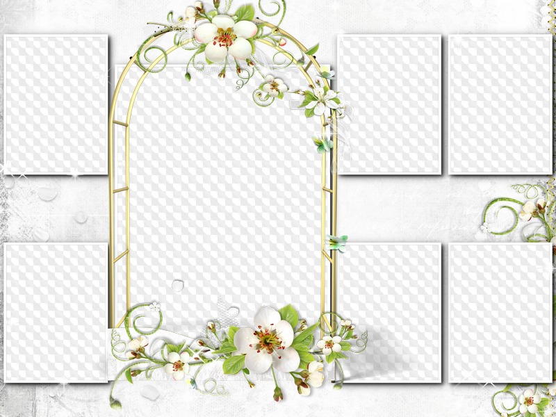 Wedding frame collage, beautiful bride, 7 photos