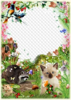 Forest animals and birds in the forest, photo frame