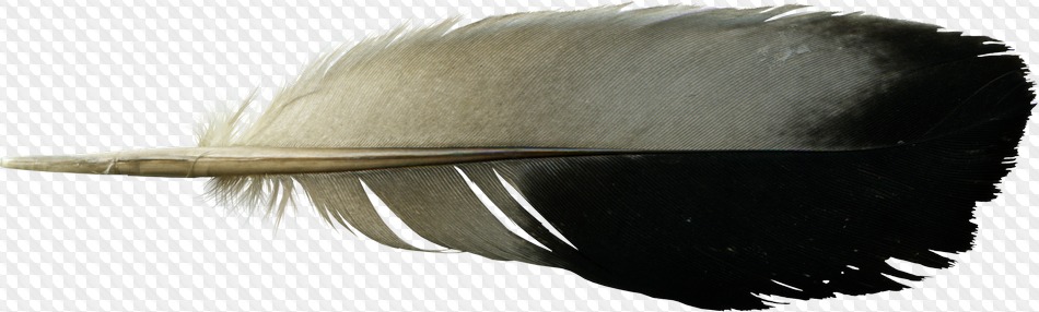 Native American Feathers PNG images with transparent background