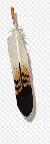 Native American Feathers PNG images with transparent background