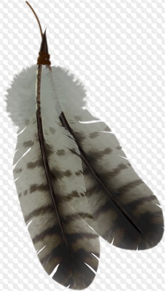 Native American Feathers PNG images with transparent background