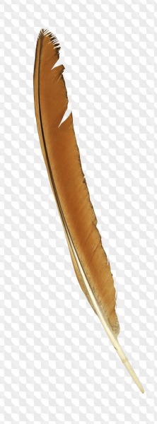 Native American Feathers PNG images with transparent background