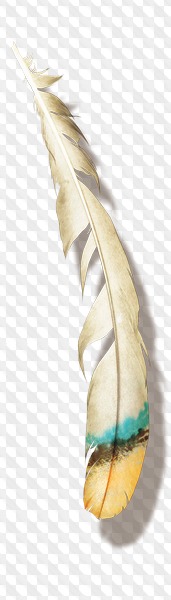 Native American Feathers PNG images with transparent background