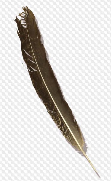 Native American Feathers PNG images with transparent background