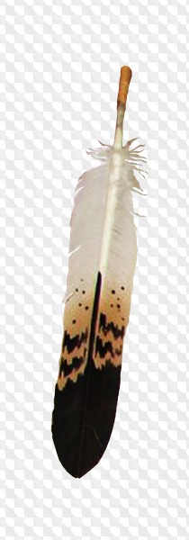 Native American Feathers PNG images with transparent background