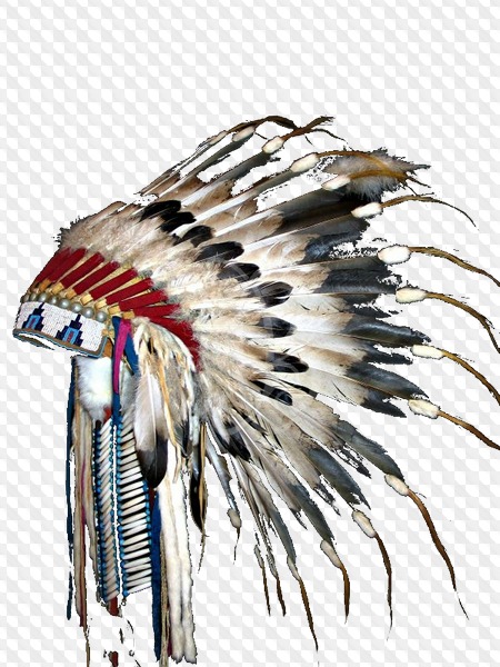Native American Feathers PNG images with transparent background