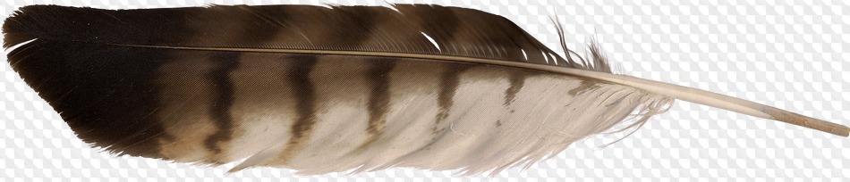 Native American Feathers PNG images with transparent background