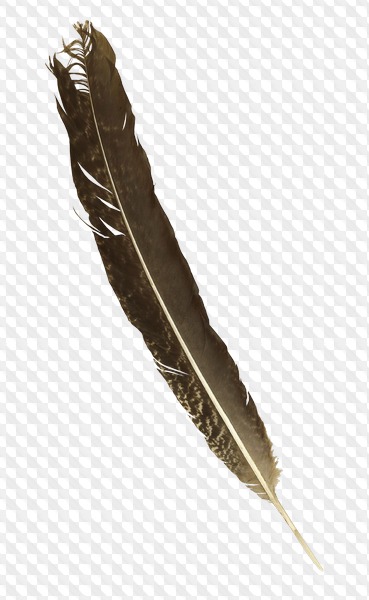 Native American Feathers PNG images with transparent background
