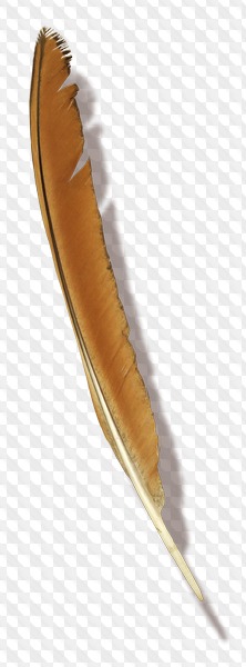 Native American Feathers PNG images with transparent background