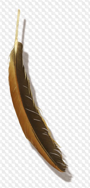 Native American Feathers PNG images with transparent background