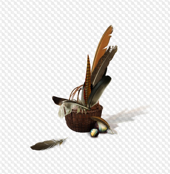 Native American Feathers PNG images with transparent background