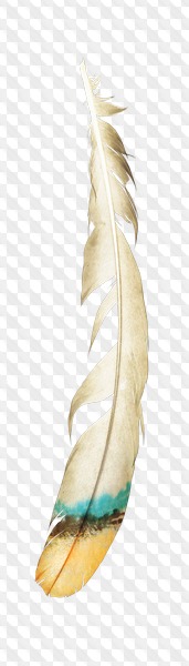Native American Feathers PNG images with transparent background