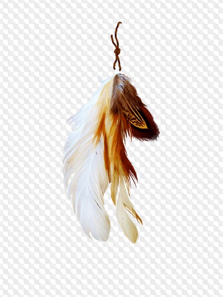Native American Feathers PNG images with transparent background