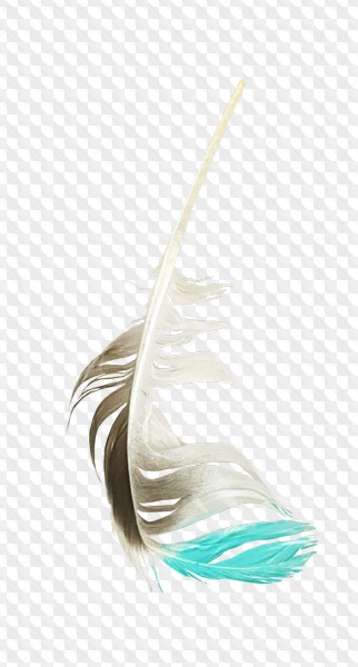 Native American Feathers PNG images with transparent background
