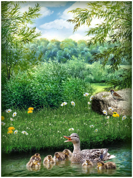 Lake in forest, photo frame