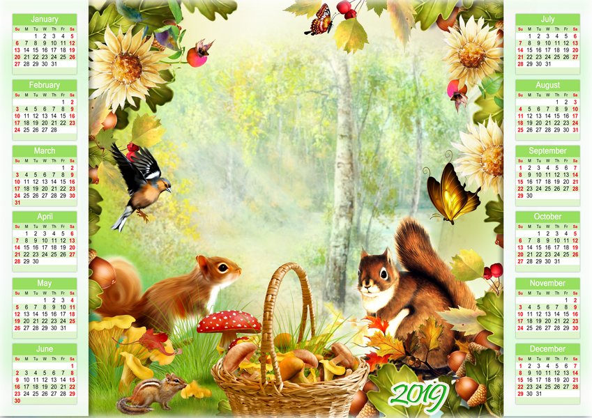 Autumn nature, calendar 2019, green forest. Calendar for Photoshop.