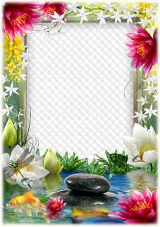 Lake in forest, photo frame