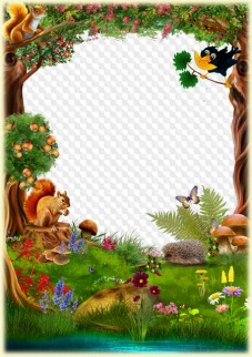 Fairy Forest photo frame collage ( free nature frame psd frame png ...
