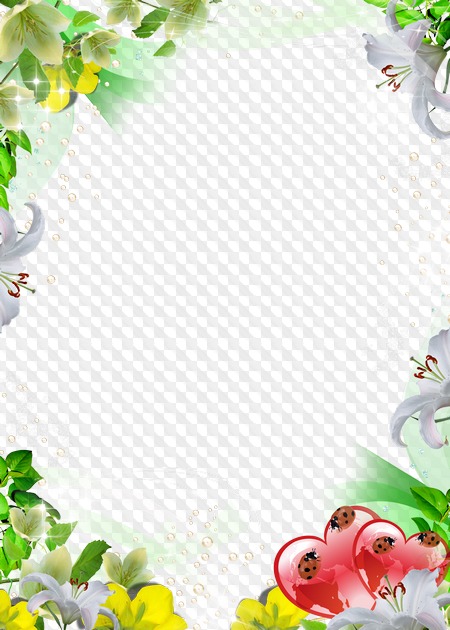 Lilies, Frame for Photoshop