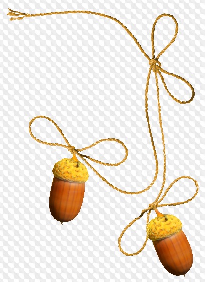 77 PNG, Nuts, acorns and seeds on transparent background