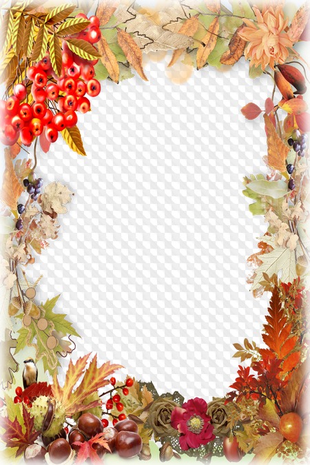 Autumn Photo Frame Template Transparent PNG Frame PSD Layered Photo Frame Template Download 
