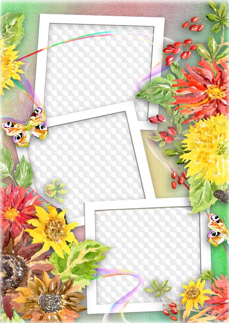 Autumn flowers, photo frame