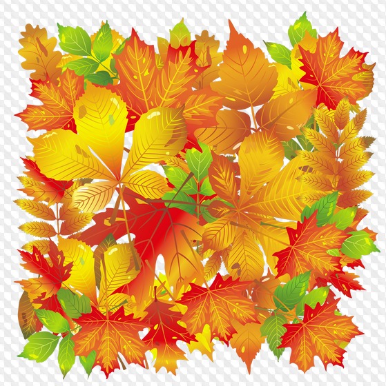 Autumn compositions, leaves, landscape elements, overlays on ...