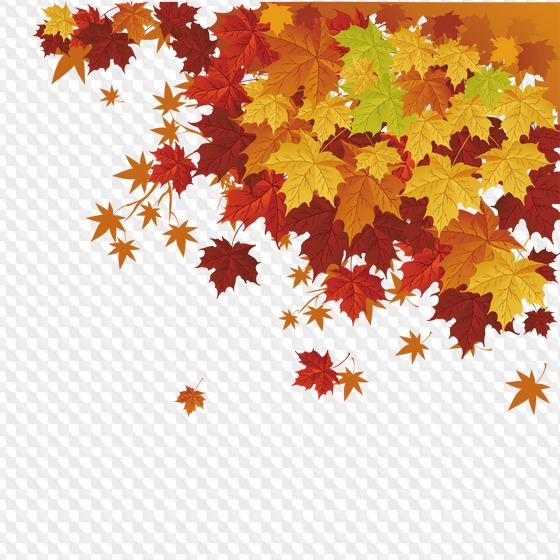 Autumn compositions, leaves, landscape elements, overlays on ...