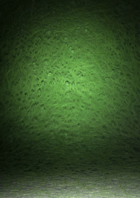 Multi-colored studio backgrounds