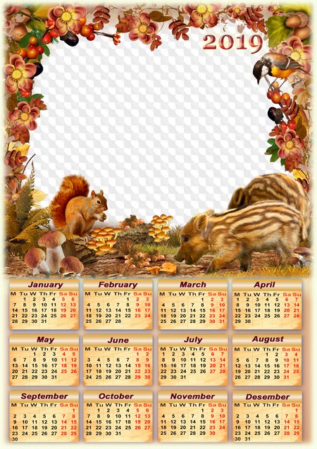 Autumn day in nature, calendar 2019