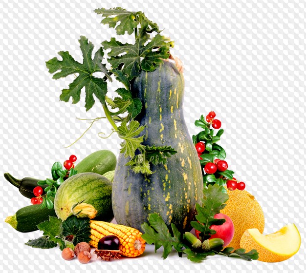 Autumn harvest, PNG composition with pumpkin on transparent background